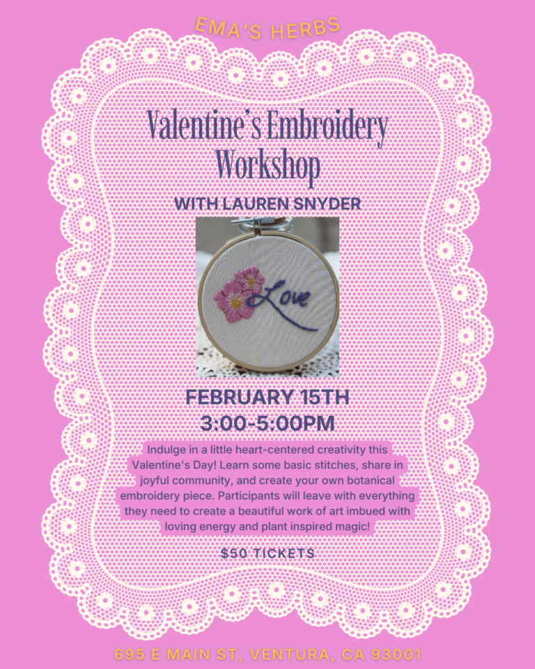 Valentine’s Botanical Embroidery Workshop with Lauren Snyder | Downtown ...
